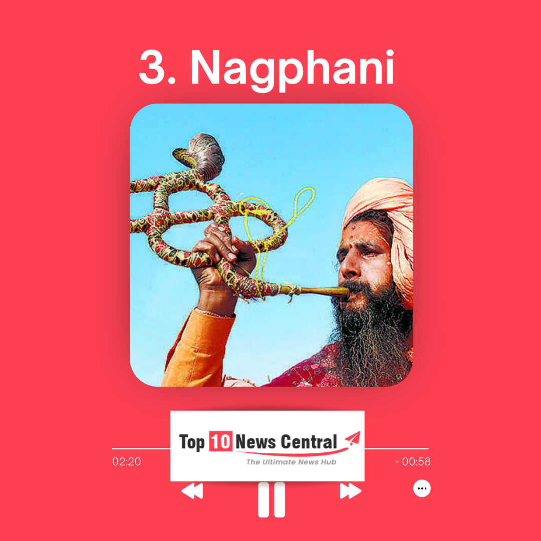 10 Lesser Known Instruments from India’s Rich Musical History – Top 10 ...